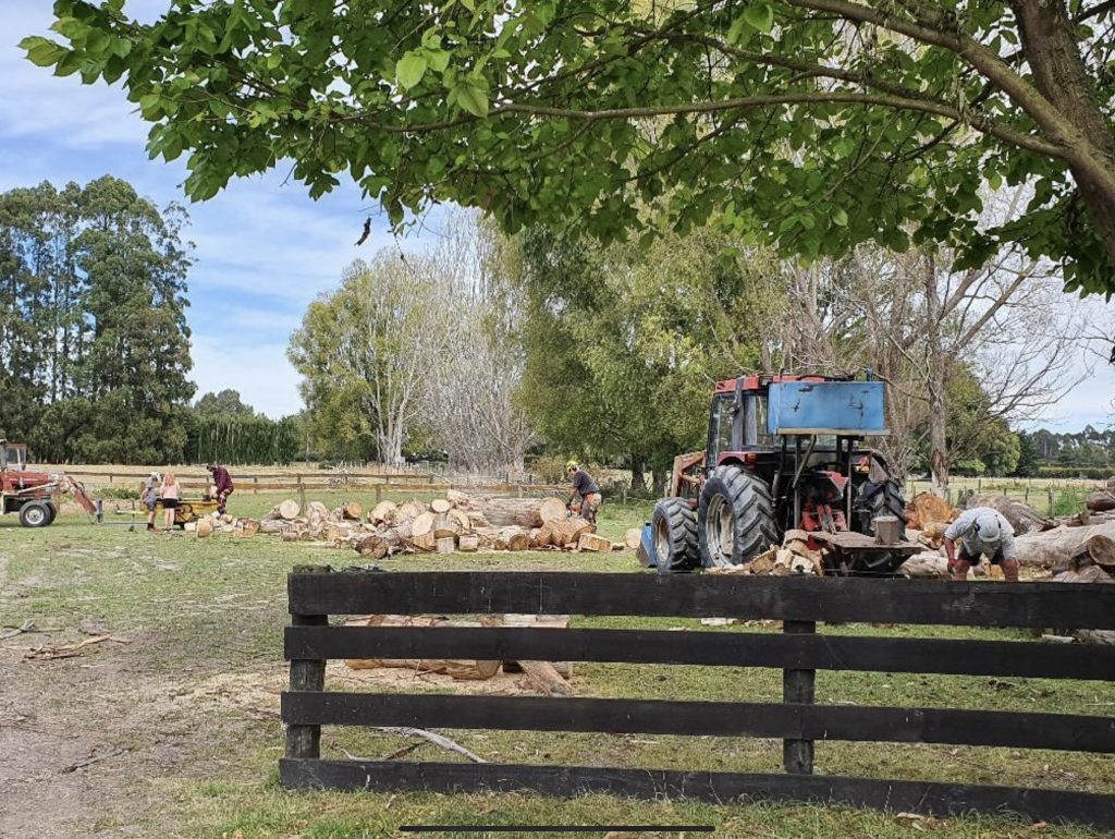 Pilgrim Bandits New Zealand